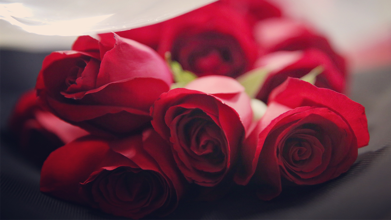 June Is National Rose Month – Beyond Polish